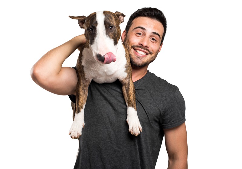 What are the Most Common Nutritional Needs of Pets? | Weeds Blog Capital